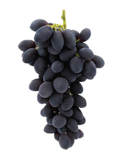 Explore California | Grapes from California