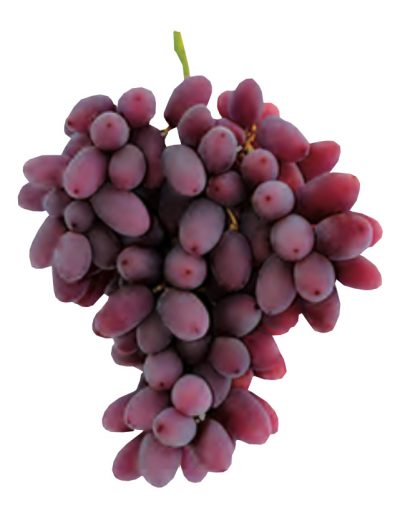 Explore California | Grapes from California