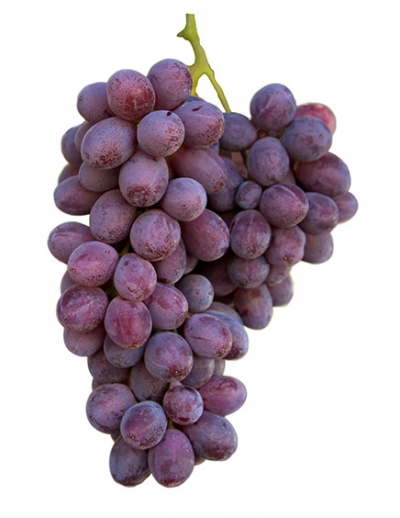 Explore California | Grapes from California